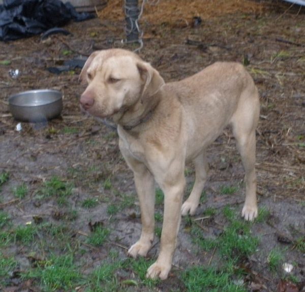 Current Groups | Family Spirals®