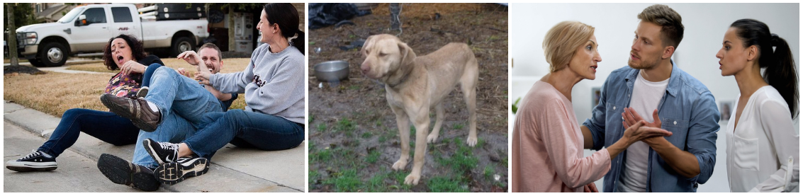 Current Groups | Family Spirals®